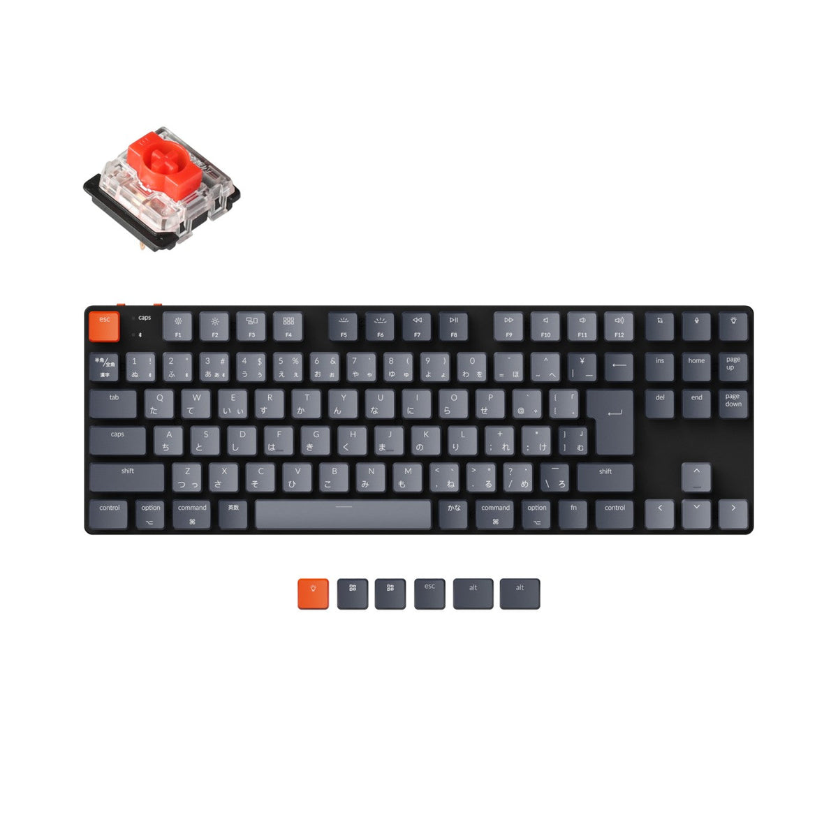 Keychron ISO/JIS Mechanical Keyboard Collection – Keychron Singapore